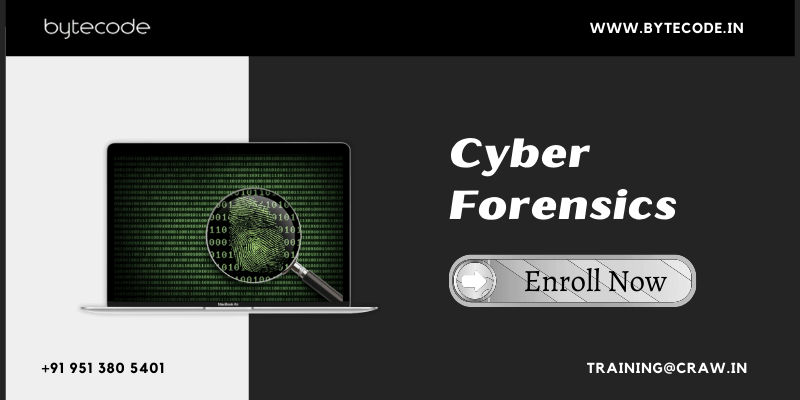 In-depth Basic Networking Course in Delhi